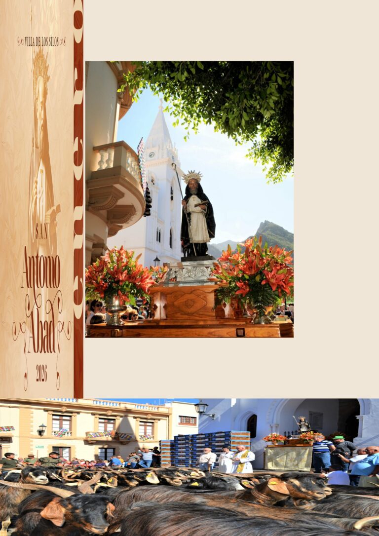 La Laguna Now in Spain's January Celebration: San Antonio Abad ...